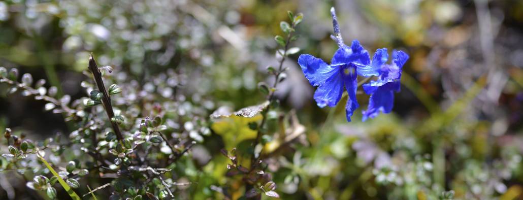 Docusaurus Introduction | Mike Polinowski